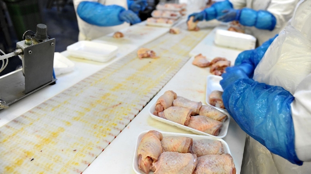 Why are COVID-19 outbreaks happening in food factories? | Feature Article
