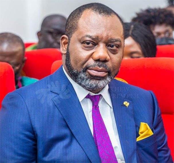 NAPO can’t be running mate in NPP – Frances Essiam | Politics