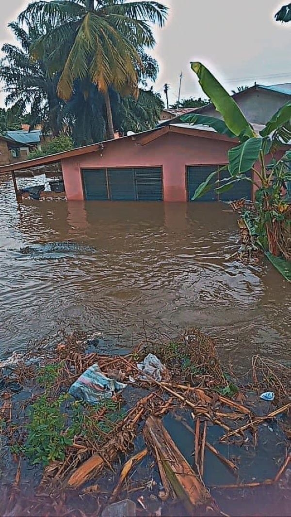 Dam spillage could trigger outbreak of water-related diseases – Health ...