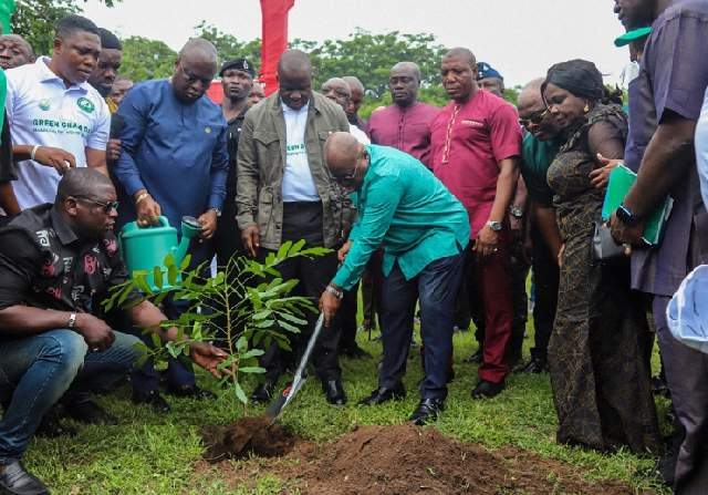 30m seedlings survive out of 41m planted since 2021 – Jinapor | General ...