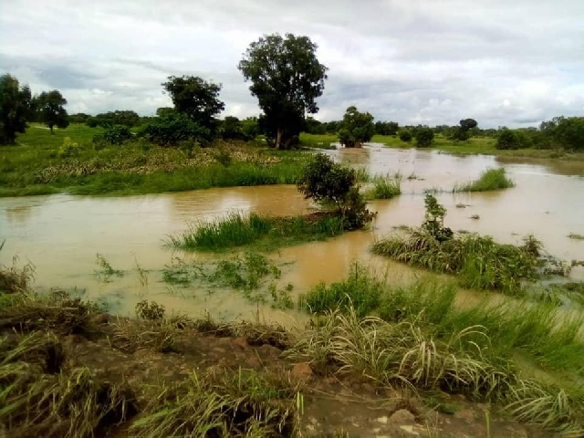 Bagre Dam Spillage: Work pace on Pwalugu Dam not impressive – Peasant ...
